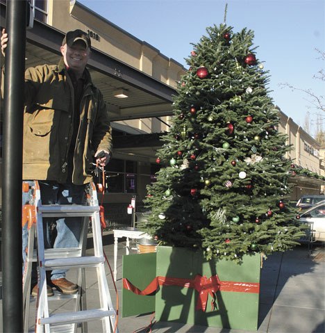 Where is Federal Way's official Christmas tree? | Federal Way Mirror