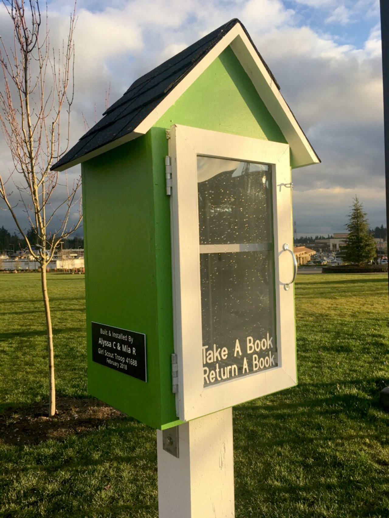 Girl Scout Troop brings color to Federal Way with lending libraries ...