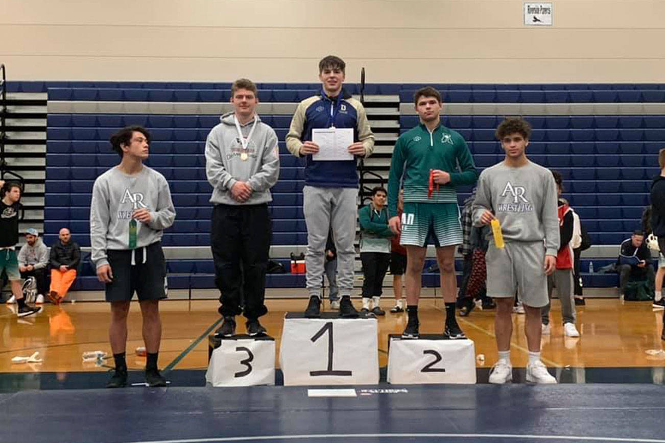 Decatur Gators take 8 on to regional boys wrestling tournament ...