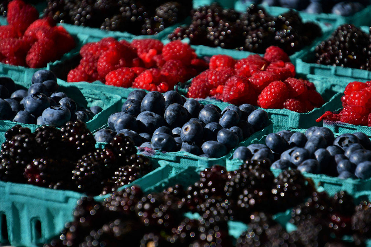 Well-fed from the Federal Way Farmers Market: Berry Delicious French ...