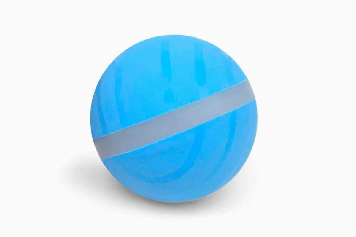 BarxBuddy Busy Ball Reviews - New Smart Barx Buddy BusyBall | Federal ...