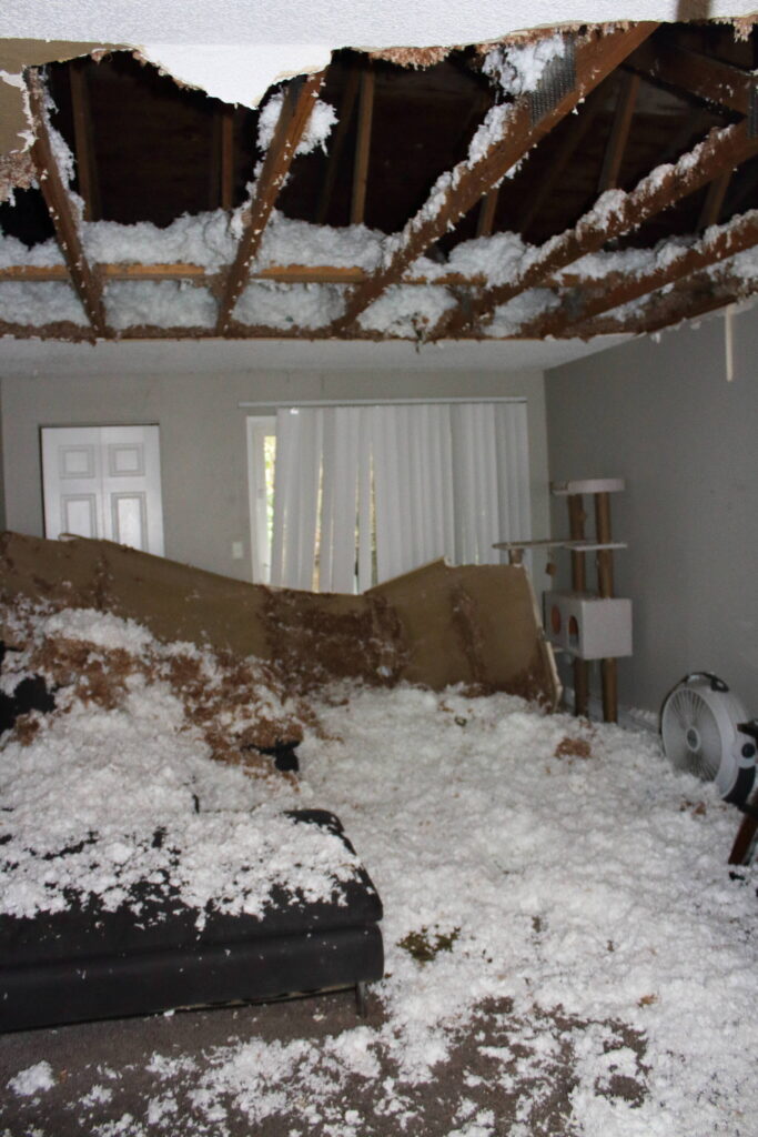 Apartment tenants deal with aftermath of collapsed ceilings | Federal ...