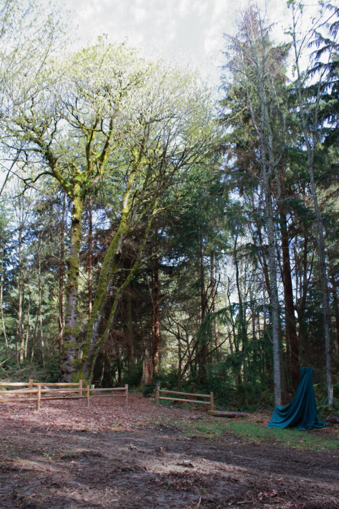 Camp Kilworth heads toward August reopening | Federal Way Mirror