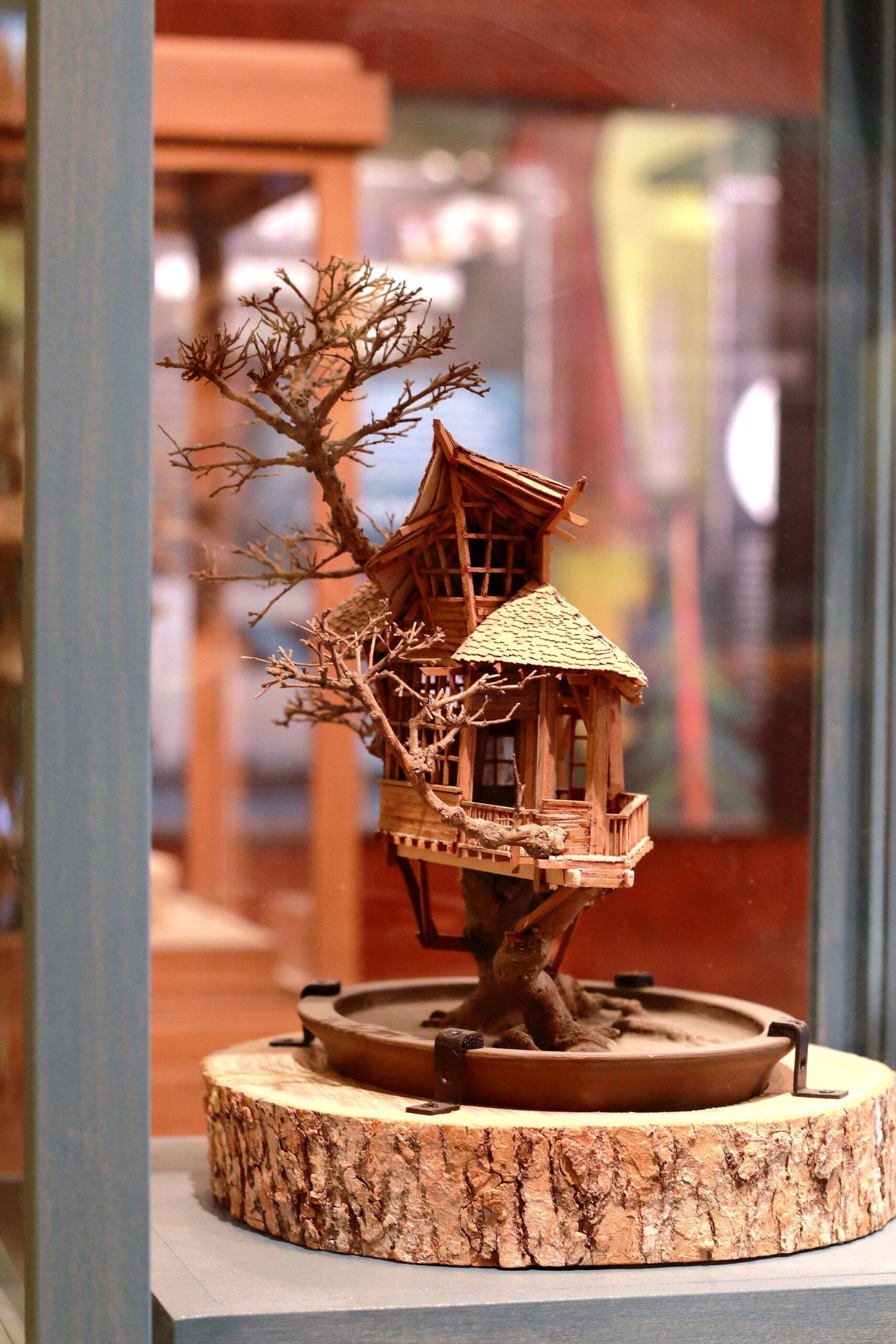Winter happenings at the Pacific Bonsai Museum | Federal Way Mirror