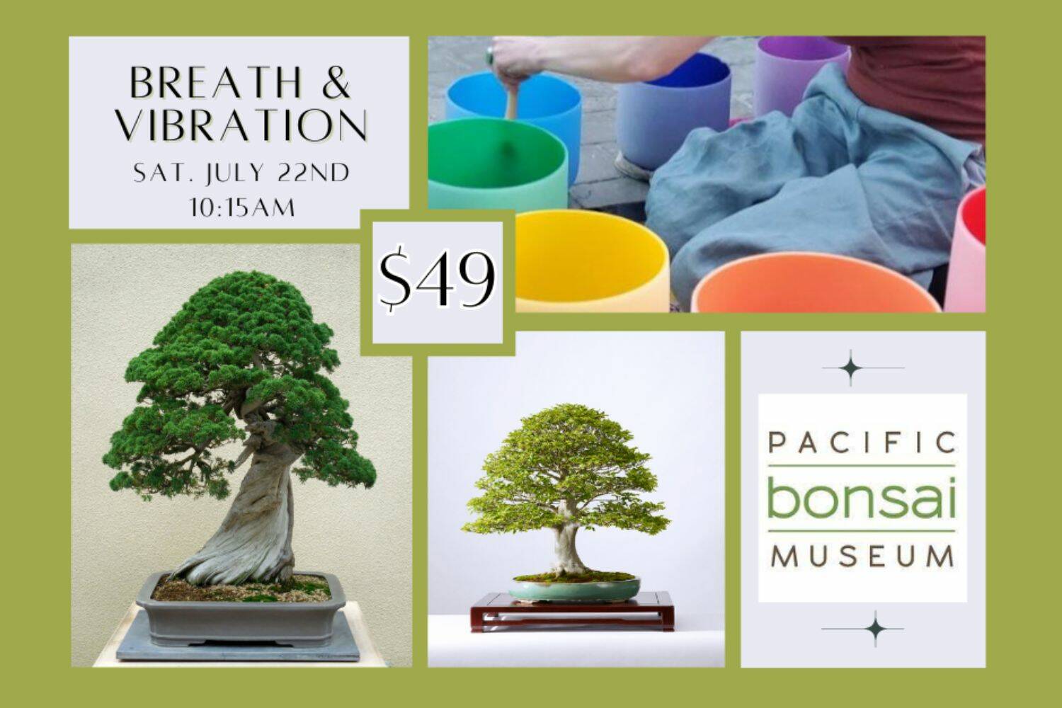 Breathe & Vibration meditation event to be held at Pacific Bonsai ...