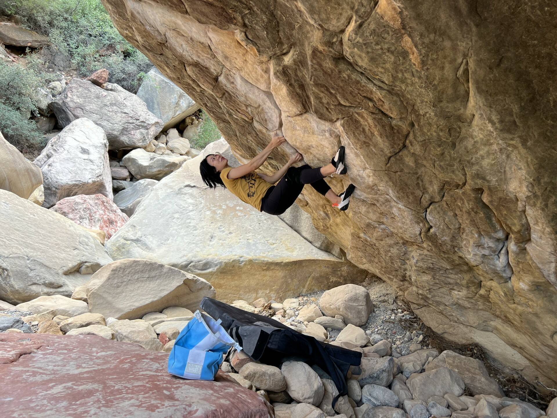 Climbing gym comes with a solution for the FW community | Federal Way ...