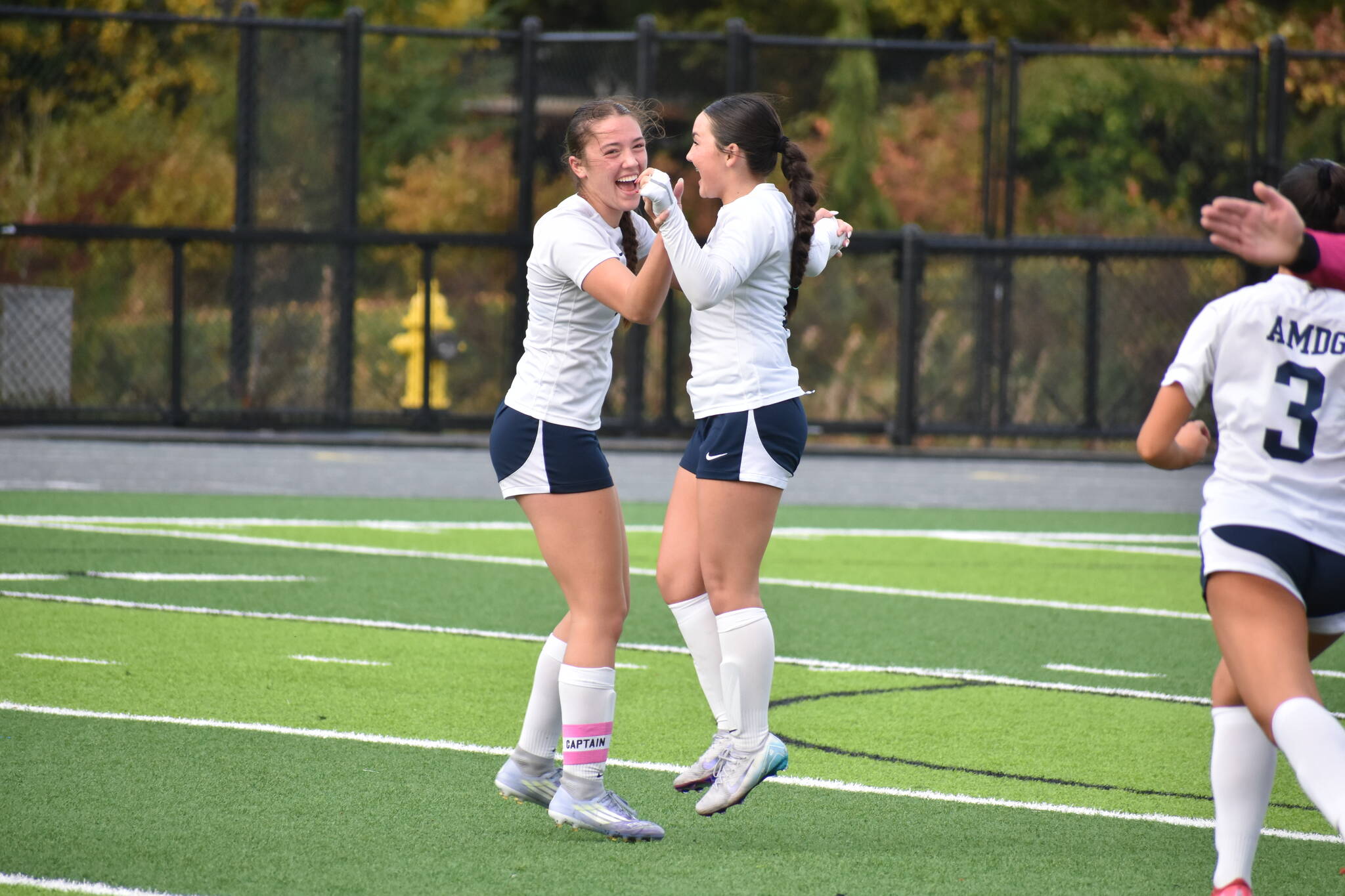 Decatur girls soccer bit by Lions in first round | Federal Way Mirror