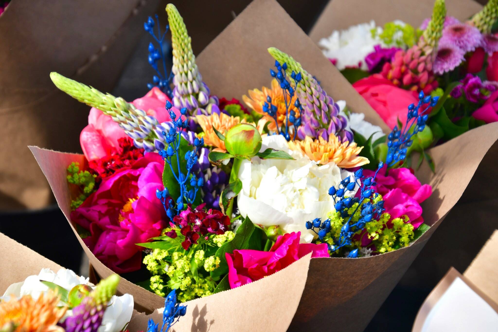 Federal Way Farmers Market grand opening coming May 9 | Federal Way Mirror
