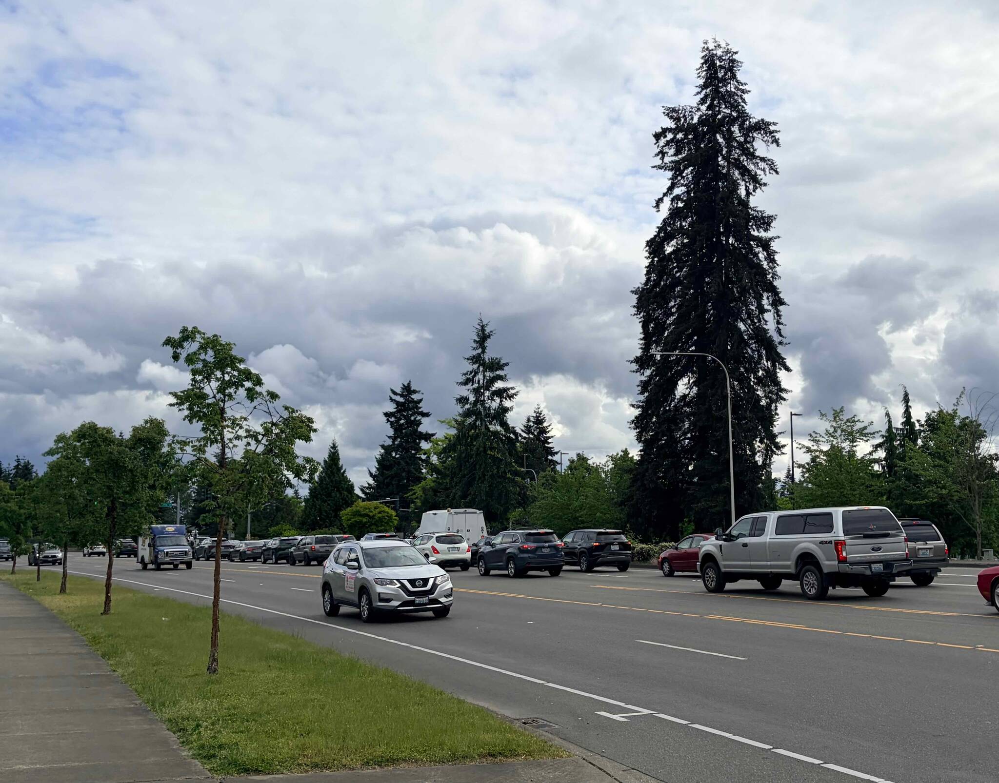 Man crashes into tree on Enchanted Parkway, dies | Federal Way Mirror